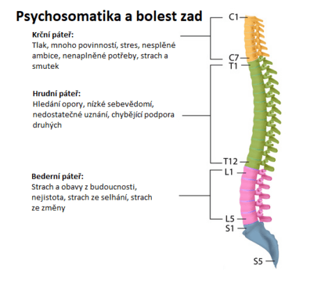 Psychosomatika a bolest zad: Vše, co byste měli vědět